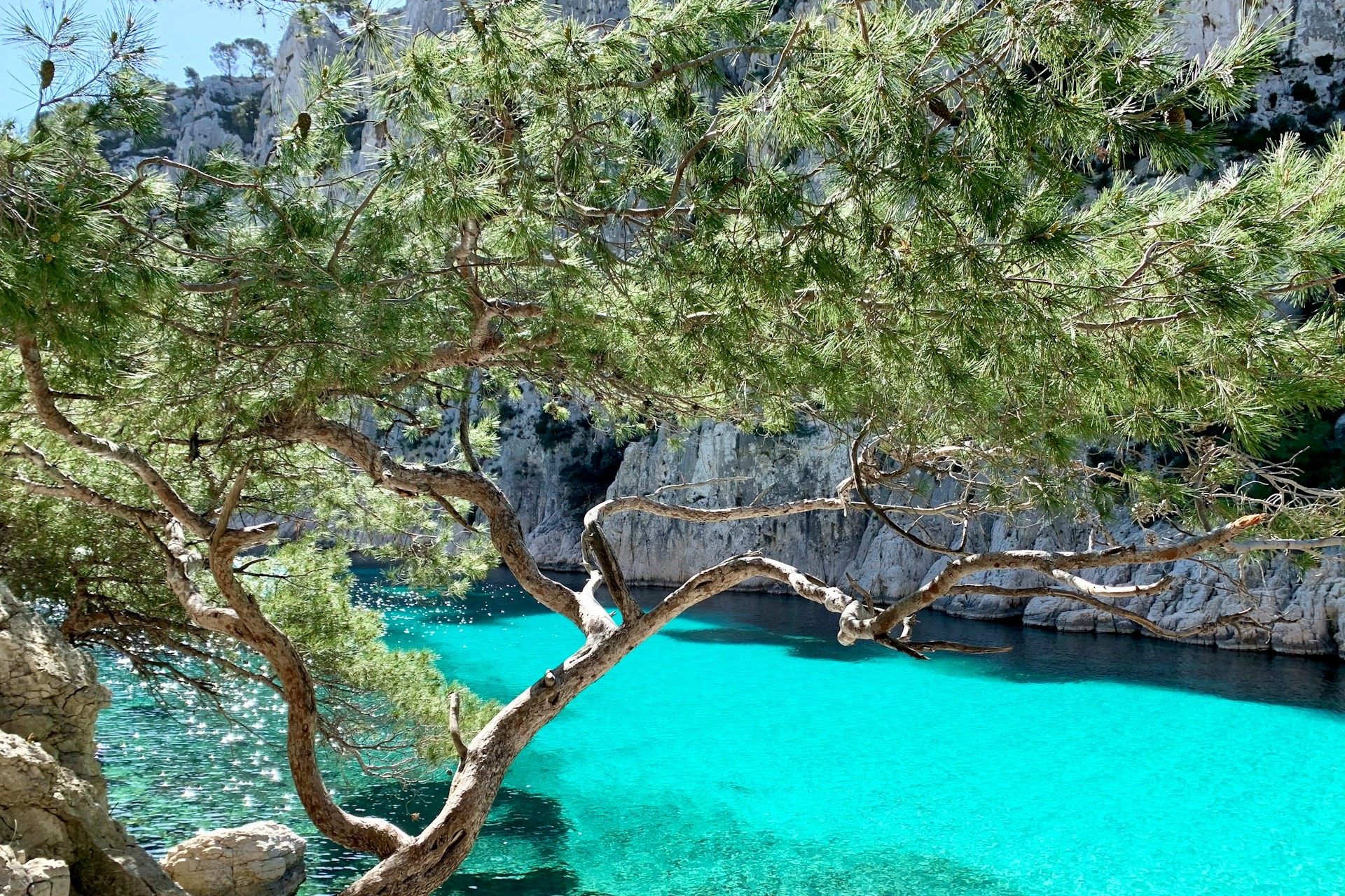 How to Get WiFi in France: A Guide for Tourists - HippocketWifi